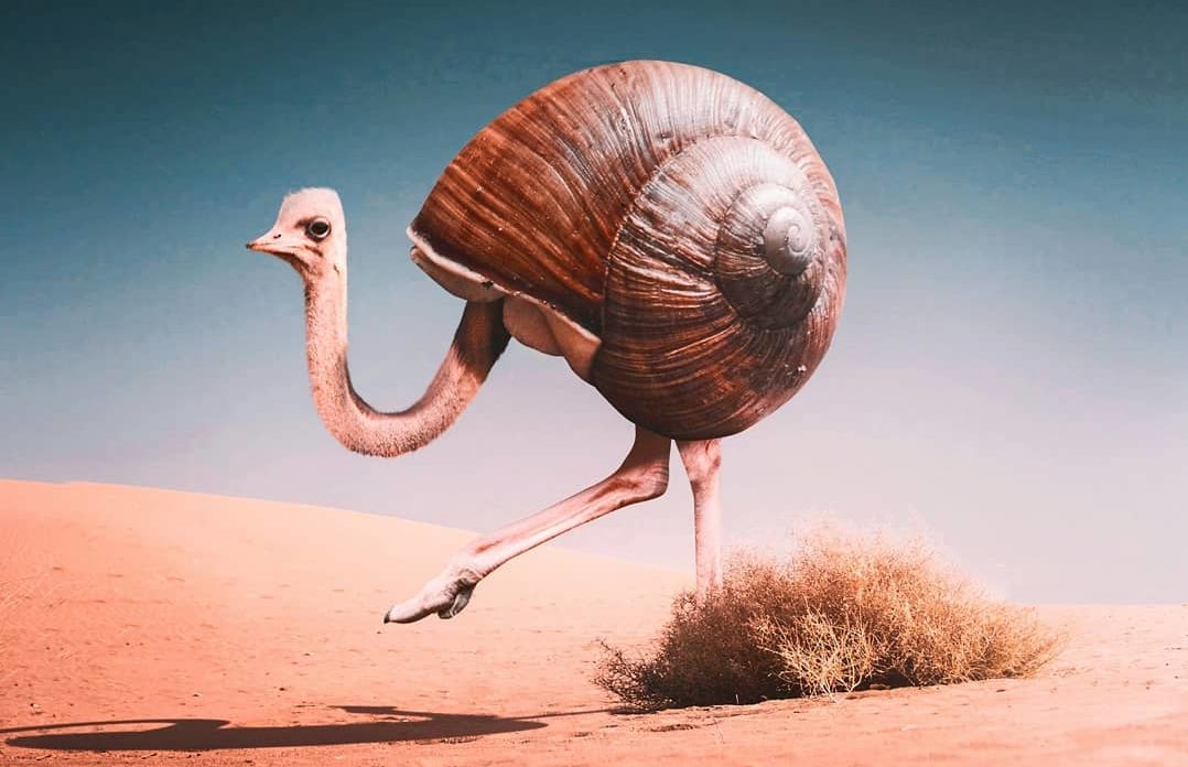 Ronald Ong's Photo Manipulations Are Clever and Incredibly Amusing ...