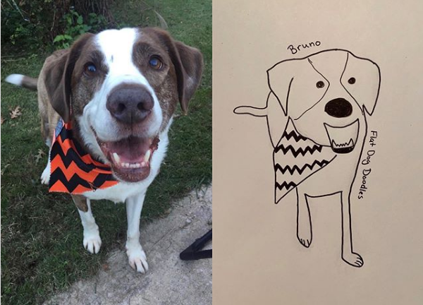 Artist Draws Silly Drawings Of Pets People Can't Get Enough Of - https ...