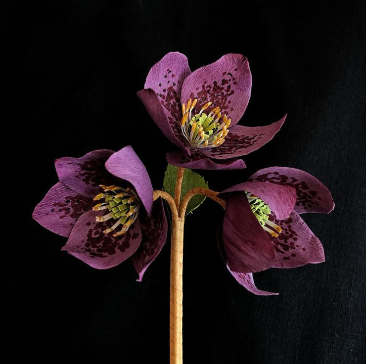 Artist Uses Paper To Create Beautiful Flowers - https://everydaymonkey.com
