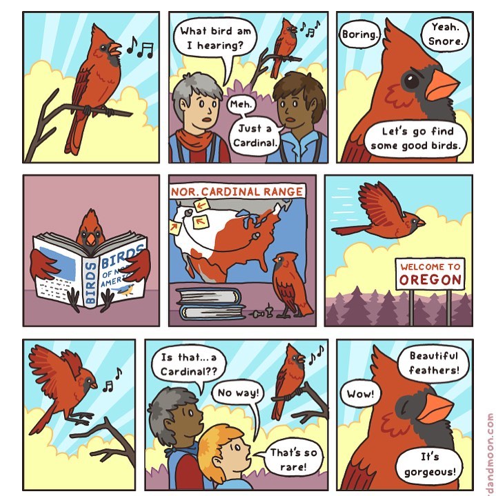 These Hilarious Bird Comics Will Bring a Smile To Your Face - https ...