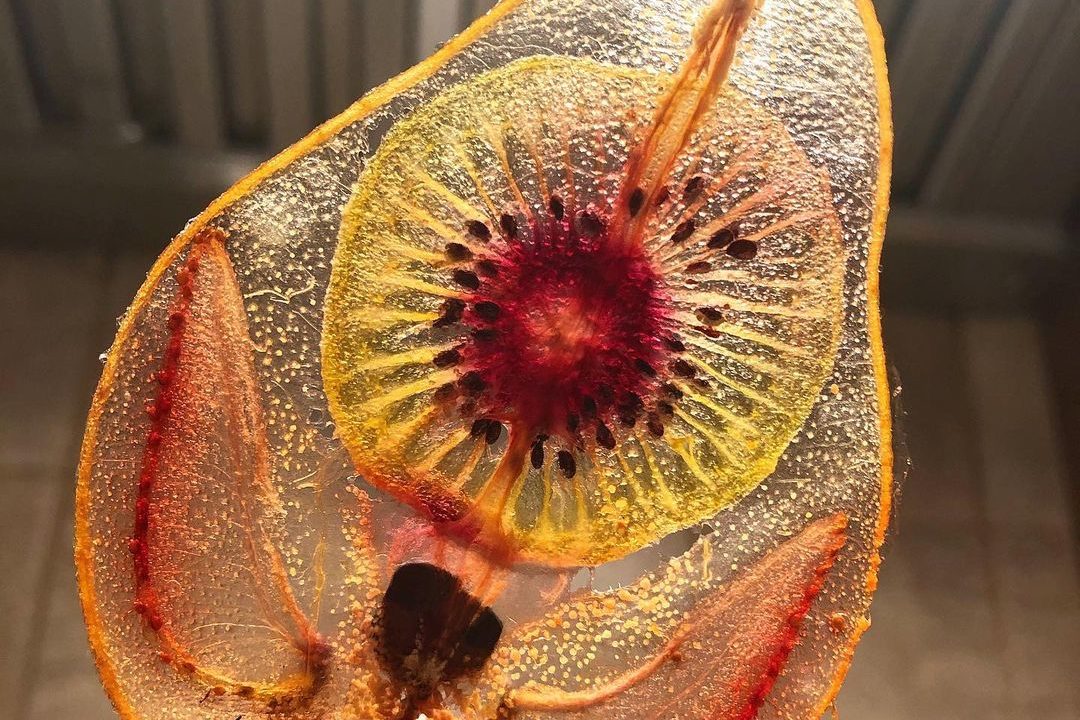 Home Chef from Seattle is Creating Transparent Fruit Chips
