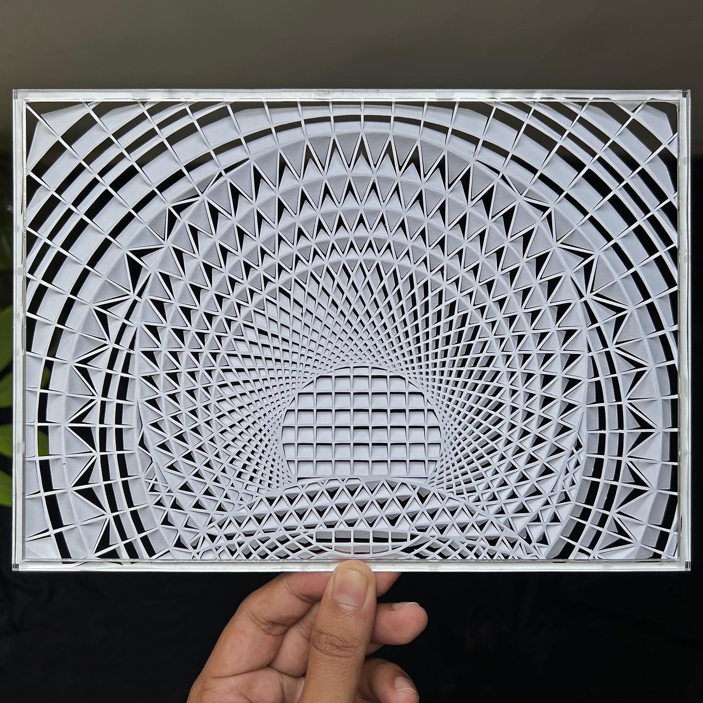Indian Artist Creates Impressive Optical Illusions Using a Single Sheet ...