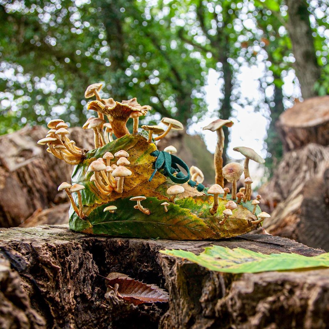 Artist Crafts Sneakers Using Natural Materials Like Tree Bark and Fungi ...