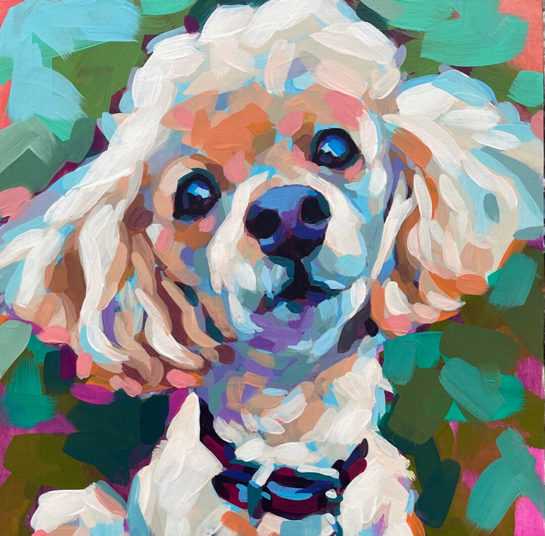 Ali Kay Shows Us Animals In Vivid Light - https://everydaymonkey.com