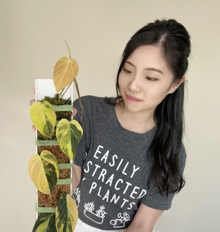 Rare Plant Bae is the Queen of Nurturing Nature - https ...