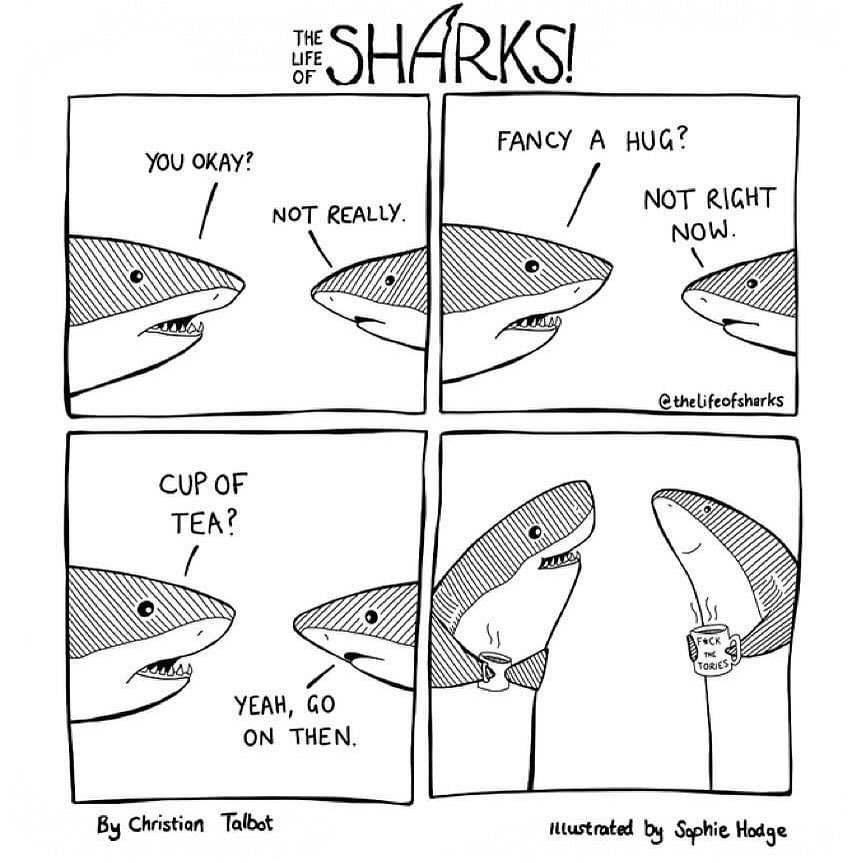 These Funny Comics are All About Sharks - https://everydaymonkey.com