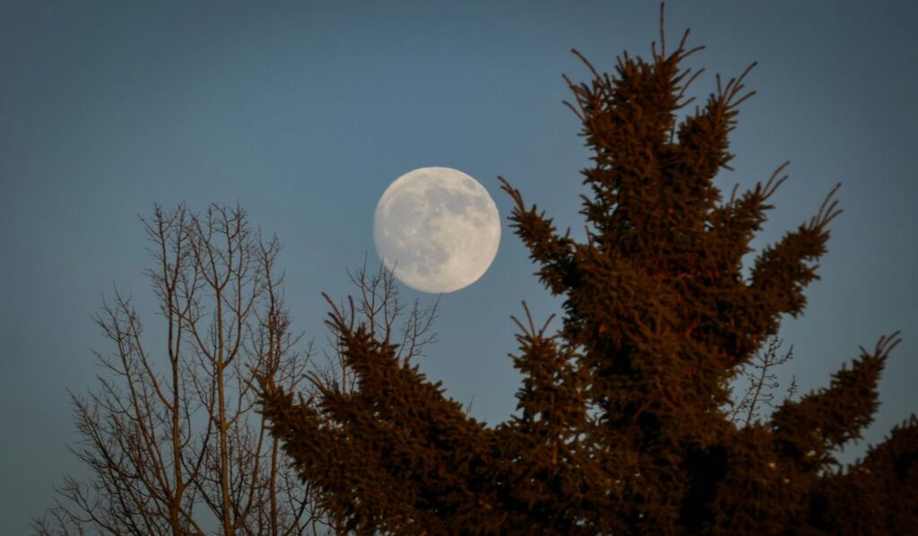 December’s Cold Moon: A Stunning Finale to 2024’s Lunar Cycle - https ...